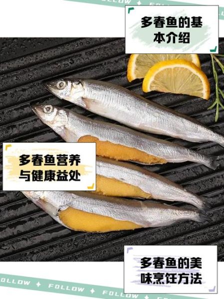 多春鱼多少钱一斤_多春鱼价格行情-第1张图片-山城妙识 多春鱼多少钱一斤_多春鱼价格行情-第1张图片-山城妙识