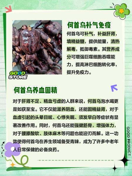 何首乌泡水喝的功效与作用_何首乌泡水喝的正确方法-第1张图片-山城妙识 何首乌泡水喝的功效与作用_何首乌泡水喝的正确方法-第1张图片-山城妙识