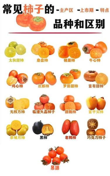 柿子能减肥吗_柿子热量高不高-第2张图片-山城妙识 柿子能减肥吗_柿子热量高不高-第2张图片-山城妙识