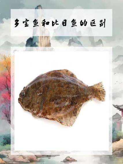 比目鱼和多宝鱼的区别_哪个更好吃-第2张图片-山城妙识