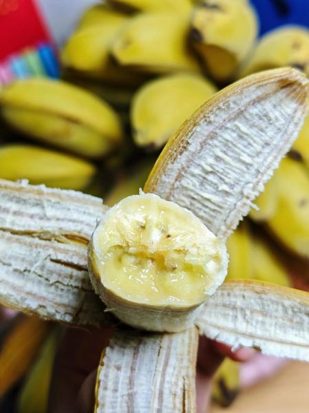 小米蕉图片_如何挑选成熟小米蕉-第2张图片-山城妙识 小米蕉图片_如何挑选成熟小米蕉-第2张图片-山城妙识