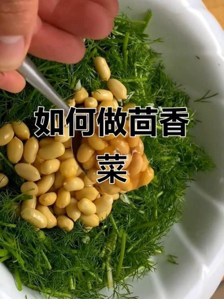茴香菜怎么吃_茴香菜的家常做法-第3张图片-山城妙识