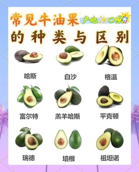 牛油果怎么判断熟了_牛油果怎么看熟没熟-第2张图片-山城妙识 牛油果怎么判断熟了_牛油果怎么看熟没熟-第2张图片-山城妙识