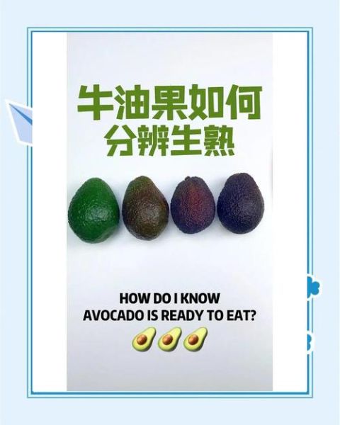 牛油果怎么判断熟了_牛油果怎么看熟没熟-第1张图片-山城妙识 牛油果怎么判断熟了_牛油果怎么看熟没熟-第1张图片-山城妙识