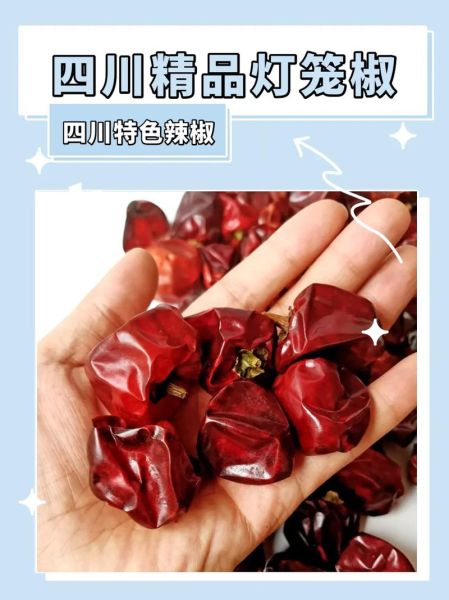 灯笼椒干辣椒怎么做_灯笼椒干辣椒辣不辣-第2张图片-山城妙识 灯笼椒干辣椒怎么做_灯笼椒干辣椒辣不辣-第2张图片-山城妙识