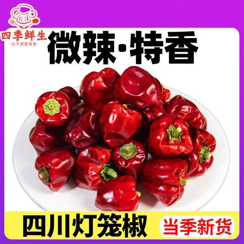 灯笼椒干辣椒怎么做_灯笼椒干辣椒辣不辣-第3张图片-山城妙识 灯笼椒干辣椒怎么做_灯笼椒干辣椒辣不辣-第3张图片-山城妙识