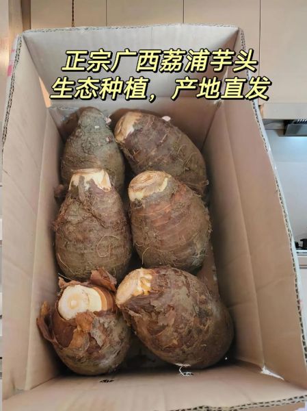 荔浦芋头怎么蒸都不糯_为什么蒸不糯-第1张图片-山城妙识 荔浦芋头怎么蒸都不糯_为什么蒸不糯-第1张图片-山城妙识