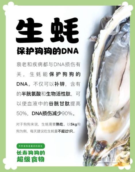 吃生蚝的好处和坏处_生蚝吃多了会怎样-第1张图片-山城妙识 吃生蚝的好处和坏处_生蚝吃多了会怎样-第1张图片-山城妙识