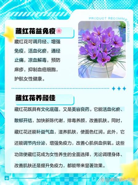 女性喝藏红花的好处_藏红花对月经有用吗-第1张图片-山城妙识 女性喝藏红花的好处_藏红花对月经有用吗-第1张图片-山城妙识