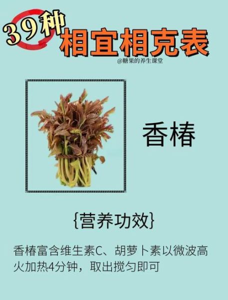 香椿芽不能和什么一起吃_香椿芽相克食物有哪些-第1张图片-山城妙识 香椿芽不能和什么一起吃_香椿芽相克食物有哪些-第1张图片-山城妙识