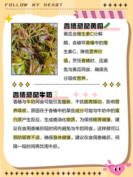 香椿芽不能和什么一起吃_香椿芽相克食物有哪些-第2张图片-山城妙识 香椿芽不能和什么一起吃_香椿芽相克食物有哪些-第2张图片-山城妙识