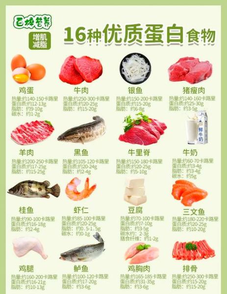 蛋白质含量高的食物有哪些_高蛋白饮食推荐-第3张图片-山城妙识 蛋白质含量高的食物有哪些_高蛋白饮食推荐-第3张图片-山城妙识