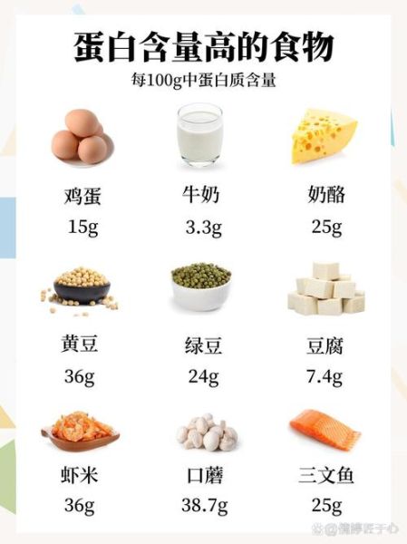 蛋白质含量高的食物有哪些_高蛋白饮食推荐-第1张图片-山城妙识 蛋白质含量高的食物有哪些_高蛋白饮食推荐-第1张图片-山城妙识