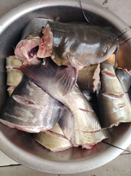 清炖鱼怎么做不腥_清炖鱼去腥技巧-第1张图片-山城妙识 清炖鱼怎么做不腥_清炖鱼去腥技巧-第1张图片-山城妙识