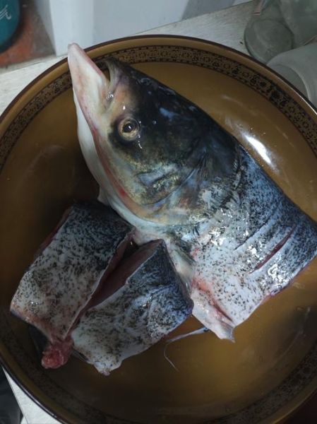 清炖鱼怎么做不腥_清炖鱼去腥技巧-第3张图片-山城妙识 清炖鱼怎么做不腥_清炖鱼去腥技巧-第3张图片-山城妙识