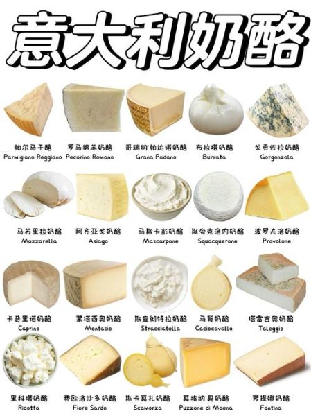 奶酪是什么做的_奶酪原料有哪些-第1张图片-山城妙识 奶酪是什么做的_奶酪原料有哪些-第1张图片-山城妙识