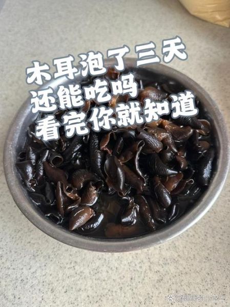木耳泡发要多久_木耳怎么泡发最快-第2张图片-山城妙识
