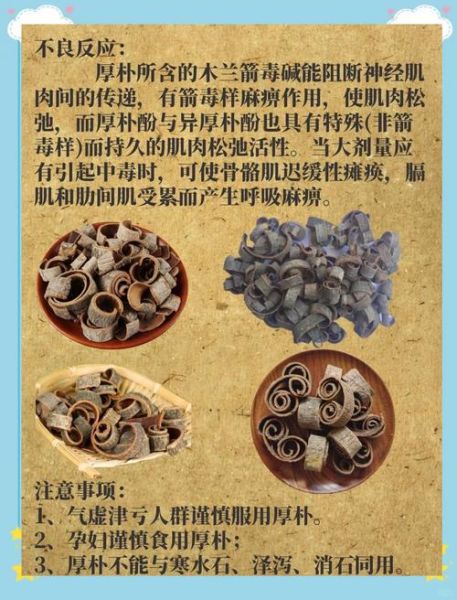 厚朴的功效与作用有哪些_厚朴主治什么病-第1张图片-山城妙识 厚朴的功效与作用有哪些_厚朴主治什么病-第1张图片-山城妙识