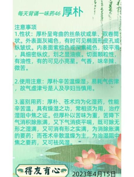 厚朴的功效与作用有哪些_厚朴主治什么病-第2张图片-山城妙识 厚朴的功效与作用有哪些_厚朴主治什么病-第2张图片-山城妙识