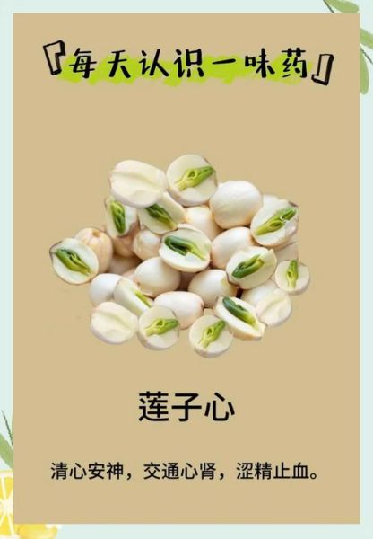 莲子心泡水喝的功效与禁忌_莲子心能治失眠吗-第3张图片-山城妙识