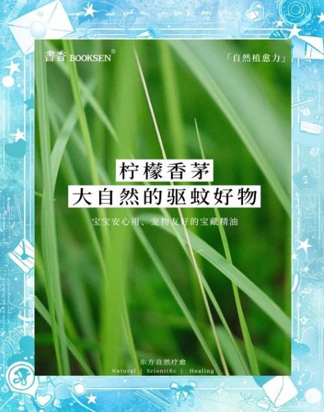 香茅驱蚊效果怎么样_香茅精油能驱哪些蚊虫-第1张图片-山城妙识 香茅驱蚊效果怎么样_香茅精油能驱哪些蚊虫-第1张图片-山城妙识