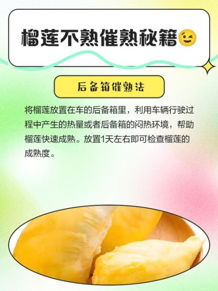 榴莲没熟打开后怎么办_榴莲不熟怎么补救-第1张图片-山城妙识