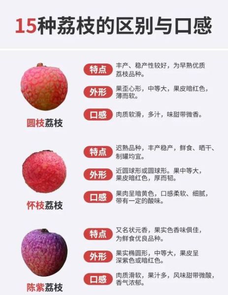 荔枝的功效与作用_荔枝含哪些营养素-第3张图片-山城妙识