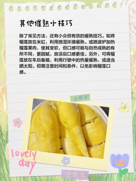 榴莲没熟打开后怎么办_榴莲不熟怎么补救-第3张图片-山城妙识