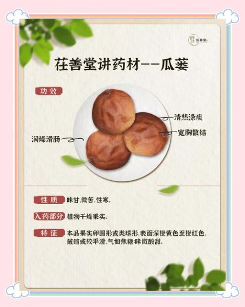 瓜蒌是什么瓜_瓜蒌的功效与作用-第1张图片-山城妙识