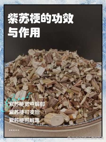 紫苏梗的功效与作用_紫苏梗能治哪些病-第2张图片-山城妙识 紫苏梗的功效与作用_紫苏梗能治哪些病-第2张图片-山城妙识
