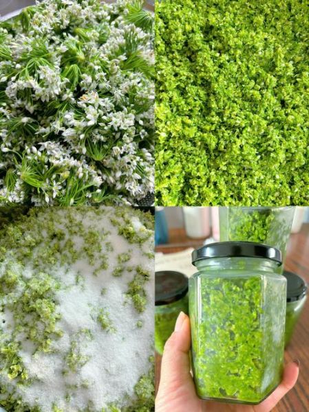 如何腌韭菜花_韭菜花腌制能放多久-第1张图片-山城妙识 如何腌韭菜花_韭菜花腌制能放多久-第1张图片-山城妙识
