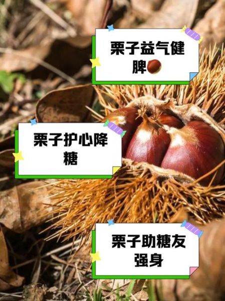 吃栗子有什么好处_吃栗子对身体有哪些好处-第2张图片-山城妙识 吃栗子有什么好处_吃栗子对身体有哪些好处-第2张图片-山城妙识