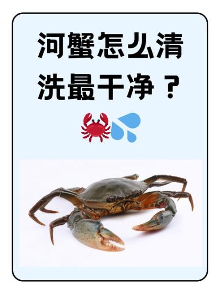 活螃蟹怎么清洗_清洗活螃蟹的正确步骤-第2张图片-山城妙识 活螃蟹怎么清洗_清洗活螃蟹的正确步骤-第2张图片-山城妙识