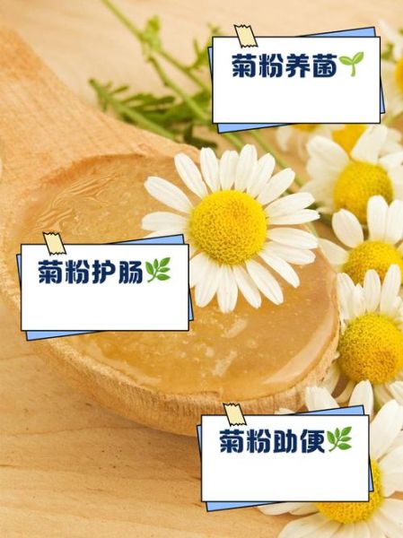 菊粉是什么功效与作用_菊粉适合什么人吃-第2张图片-山城妙识 菊粉是什么功效与作用_菊粉适合什么人吃-第2张图片-山城妙识