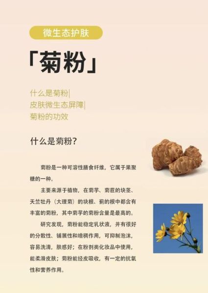菊粉是什么功效与作用_菊粉适合什么人吃-第1张图片-山城妙识 菊粉是什么功效与作用_菊粉适合什么人吃-第1张图片-山城妙识