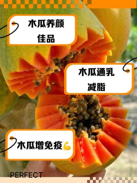 树木瓜的功效与作用_树木瓜怎么吃效果最好-第1张图片-山城妙识 树木瓜的功效与作用_树木瓜怎么吃效果最好-第1张图片-山城妙识