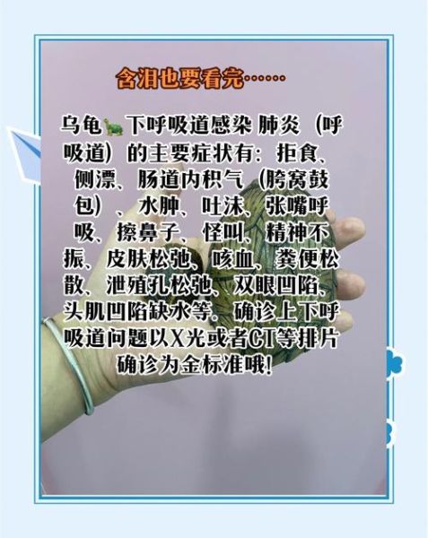 老人为什么不建议养乌龟_养龟对老人的潜在风险-第2张图片-山城妙识 老人为什么不建议养乌龟_养龟对老人的潜在风险-第2张图片-山城妙识