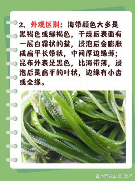 昆布丝是什么_昆布丝的功效与作用-第2张图片-山城妙识 昆布丝是什么_昆布丝的功效与作用-第2张图片-山城妙识