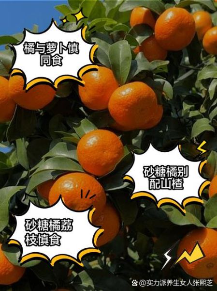 橘子不能和什么一起吃_吃橘子的禁忌有哪些-第2张图片-山城妙识 橘子不能和什么一起吃_吃橘子的禁忌有哪些-第2张图片-山城妙识