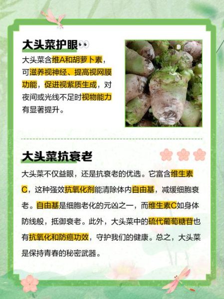 头菜的功效与作用_头菜怎么吃最健康-第1张图片-山城妙识 头菜的功效与作用_头菜怎么吃最健康-第1张图片-山城妙识