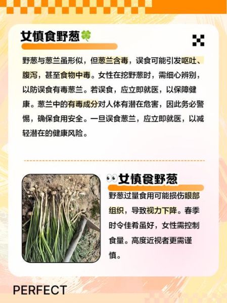 野葱的危害有哪些_野葱中毒怎么办-第1张图片-山城妙识 野葱的危害有哪些_野葱中毒怎么办-第1张图片-山城妙识