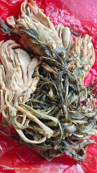 头菜的功效与作用_头菜怎么吃最健康-第2张图片-山城妙识 头菜的功效与作用_头菜怎么吃最健康-第2张图片-山城妙识