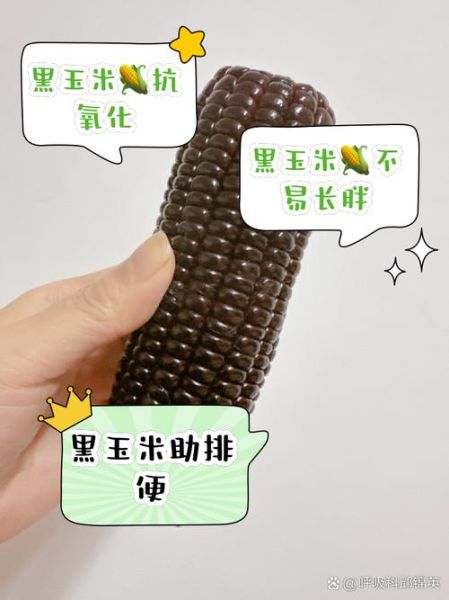 一根玉米的热量是多少大卡_减肥能吃吗-第3张图片-山城妙识