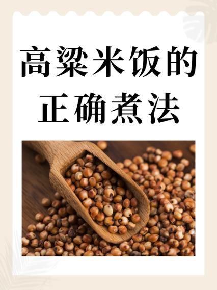 闷高粱米饭怎么做_高粱米要不要提前泡-第1张图片-山城妙识