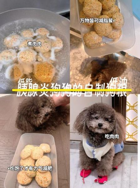 自制狗粮配方怎么做_狗狗长期吃会缺营养吗-第3张图片-山城妙识 自制狗粮配方怎么做_狗狗长期吃会缺营养吗-第3张图片-山城妙识