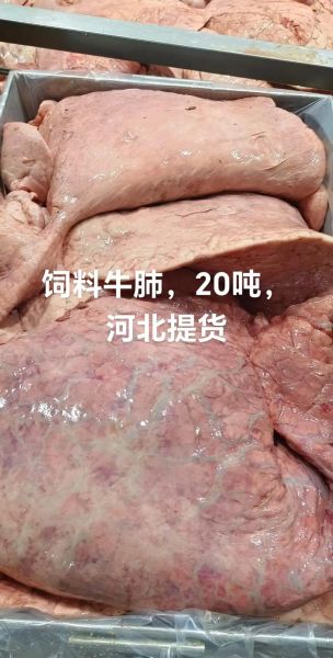 牛肺图片_牛肺解剖结构-第2张图片-山城妙识