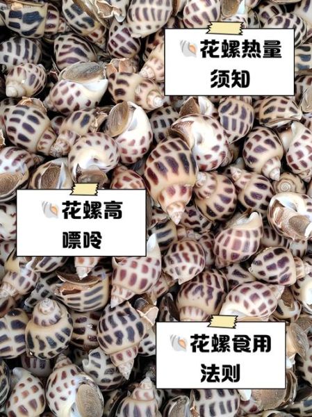 花螺哪些部位不能吃_图解花螺内脏清理-第2张图片-山城妙识