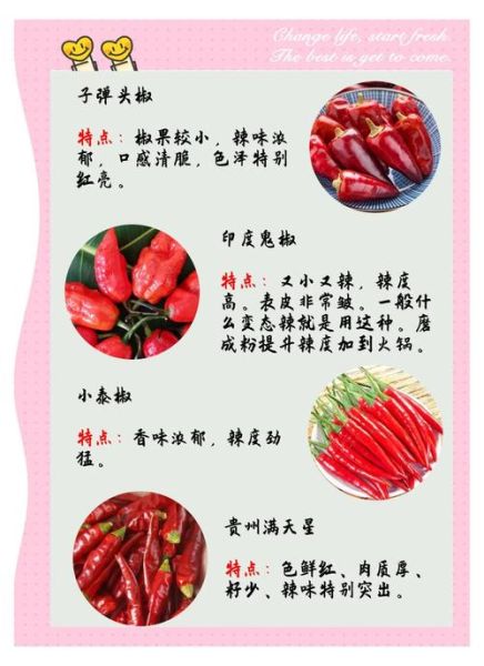 各种辣椒图片大全大图_如何辨别辣椒品种-第3张图片-山城妙识 各种辣椒图片大全大图_如何辨别辣椒品种-第3张图片-山城妙识