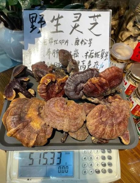 野生灵芝的功效与作用及禁忌_哪些人不能吃-第1张图片-山城妙识 野生灵芝的功效与作用及禁忌_哪些人不能吃-第1张图片-山城妙识
