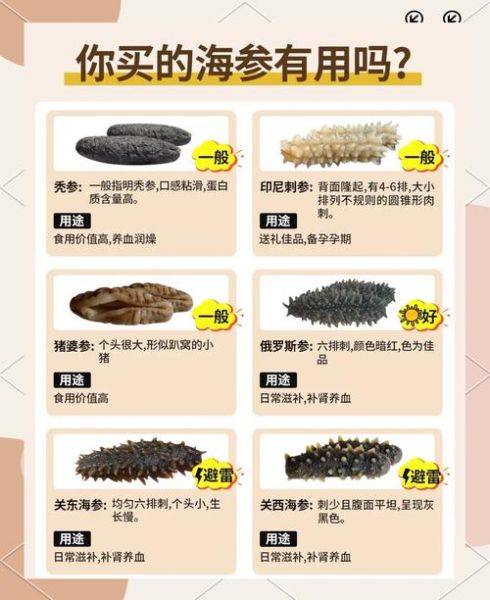 辽参干海参多少钱一斤_如何挑选性价比高的辽参-第1张图片-山城妙识 辽参干海参多少钱一斤_如何挑选性价比高的辽参-第1张图片-山城妙识